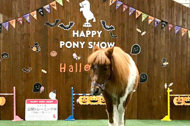 乗馬・餌やり・動物たちとふれあえる！北海道の牧場おすすめ10選｜PREZO(プレゾ) - 北海道のお取り寄せグルメと産直通販