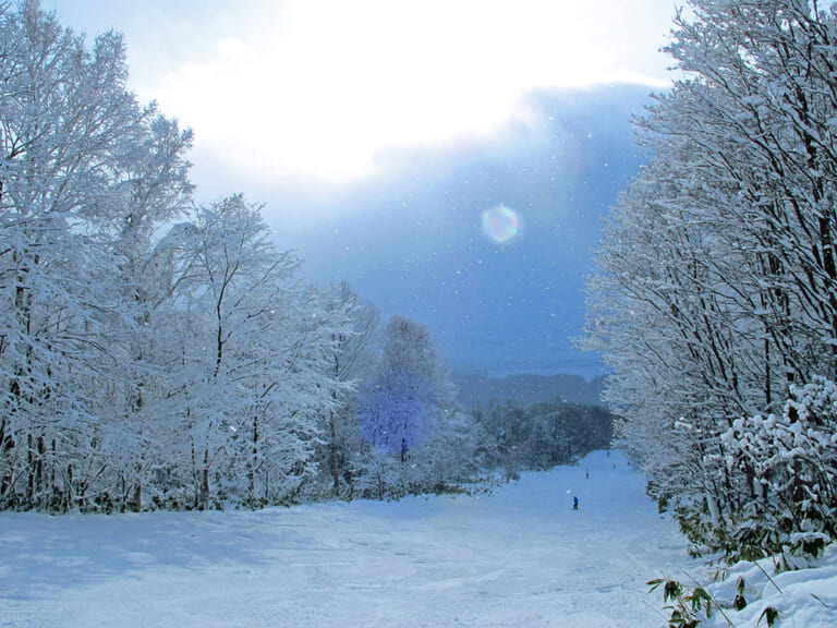 【2024-2025】海外からも絶大な人気を誇る北海道のスキー場18選｜PREZO(プレゾ) - 北海道のお取り寄せグルメと産直通販