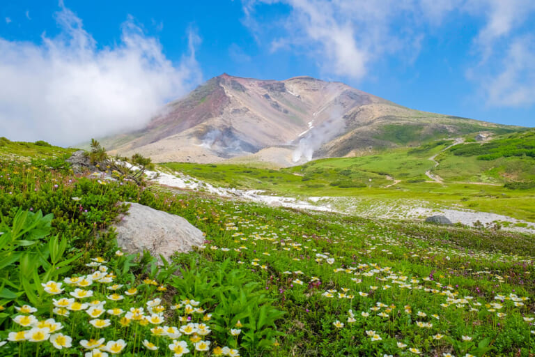 【道北編】夏の北海道旅行におすすめの観光スポット10選！稚内・旭川・富良野方面｜PREZO(プレゾ) - 北海道のお取り寄せグルメと産直通販