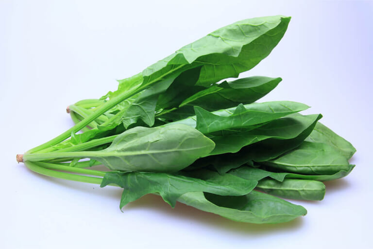 ツヤ髪につながる食べ物や栄養とは？髪にいいおすすめの食べ物11選｜PREZO(プレゾ) - 北海道のお取り寄せグルメと産直通販