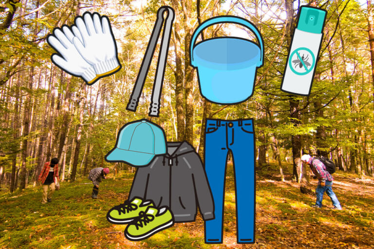 秋の味覚！北海道で【栗拾い】を楽しむ時期と美味しい食べ方｜PREZO(プレゾ) - 北海道のお取り寄せグルメと産直通販