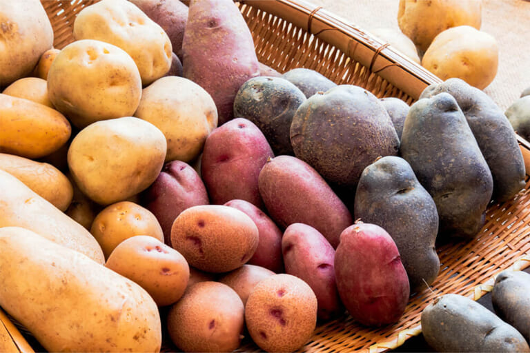 北海道は「日本一」のものがいっぱい！北海道のNo1を一挙ご紹介｜PREZO(プレゾ) - 北海道のお取り寄せグルメと産直通販