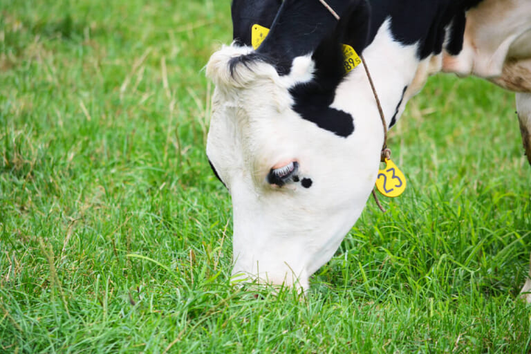 北海道は「日本一」のものがいっぱい！北海道のNo1を一挙ご紹介｜PREZO(プレゾ) - 北海道のお取り寄せグルメと産直通販