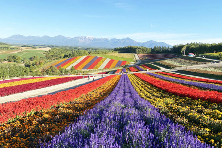北海道は「日本一」のものがいっぱい！北海道のNo1を一挙ご紹介｜PREZO(プレゾ) - 北海道のお取り寄せグルメと産直通販